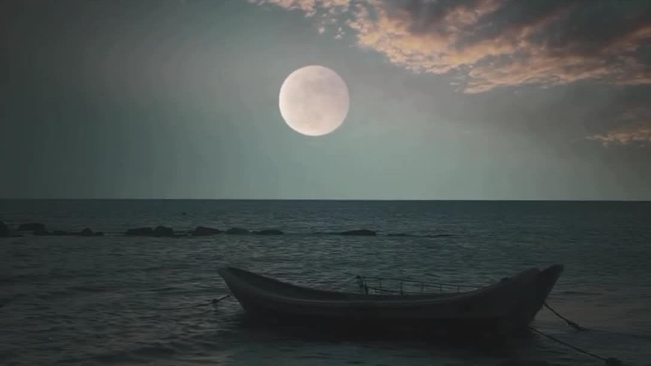 آهنگ ترند اینستاگرامی بیله بیله یاندی اورییم - نماشا